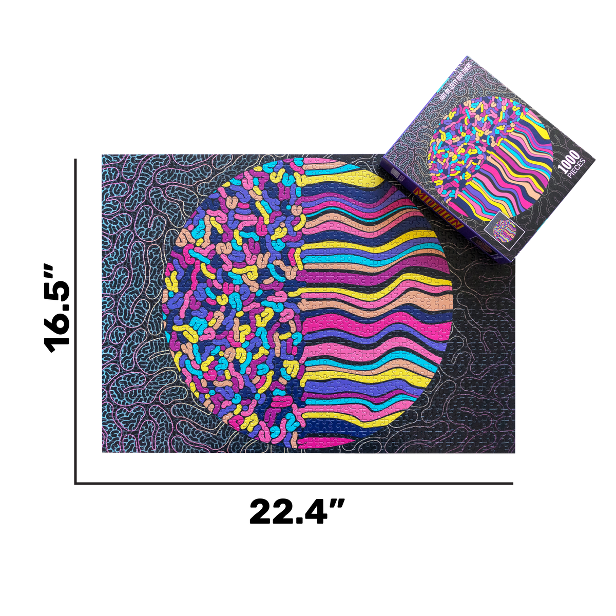 Motion Jigsaw Puzzle 1000pcs – Kess Entertainment